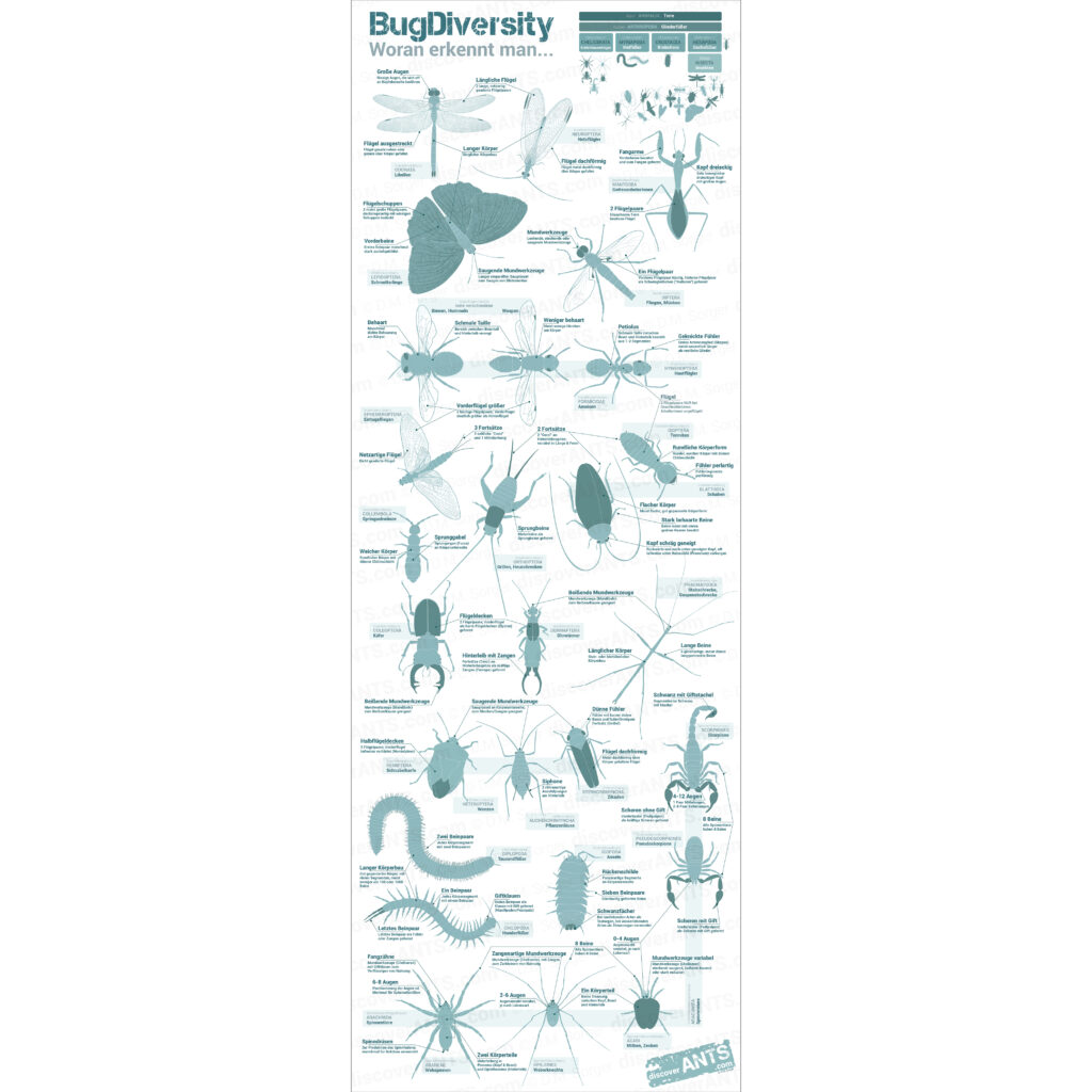 “Bug Diversity” Poster A2 (lang) – Almost-Perfect Edition – Discover Ants